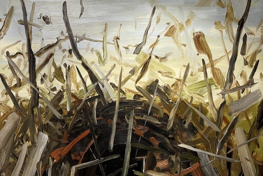 Portfolio → Jason Adkins